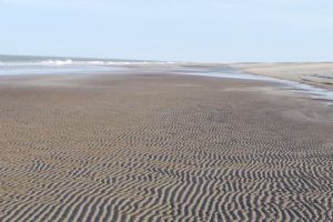 Punta Médanos « Diario La Capital de Mar del Plata