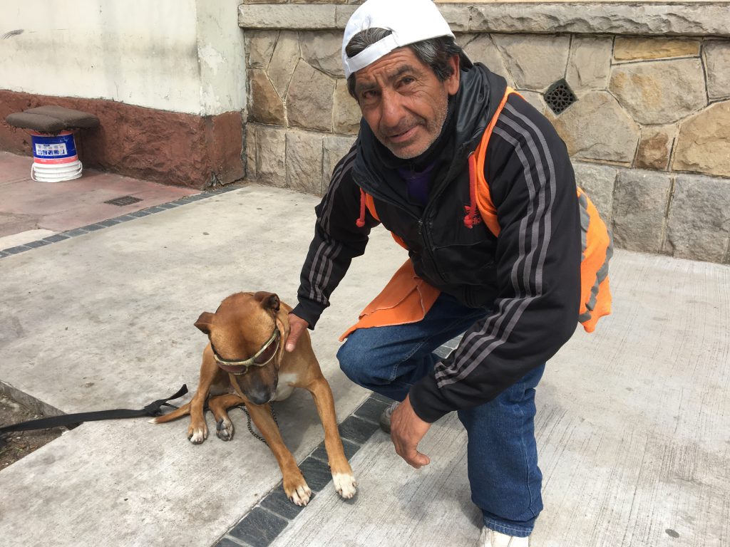 Rocco, el “perro estrella” que asistió a su dueño al borde del desmayo ...