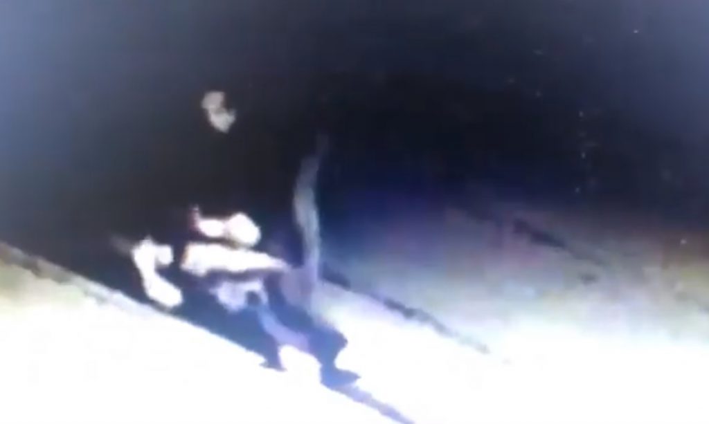 El Video Que Muestra Cómo El Jubilado Mata En El Piso Al Ladrón