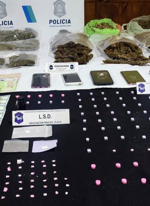 La “reina del éxtasis” y el Lollapalooza, claves del megaoperativo de ...