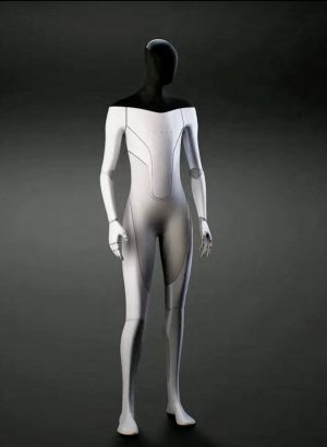 China planea impulsar la producción en masa de robots humanoides para 2025 « Diario La Capital ...