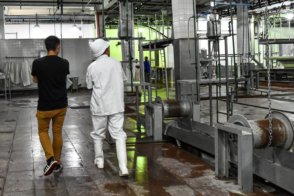 El frigorífico San Telmo reabrió sus puertas y buscará exportar a ...