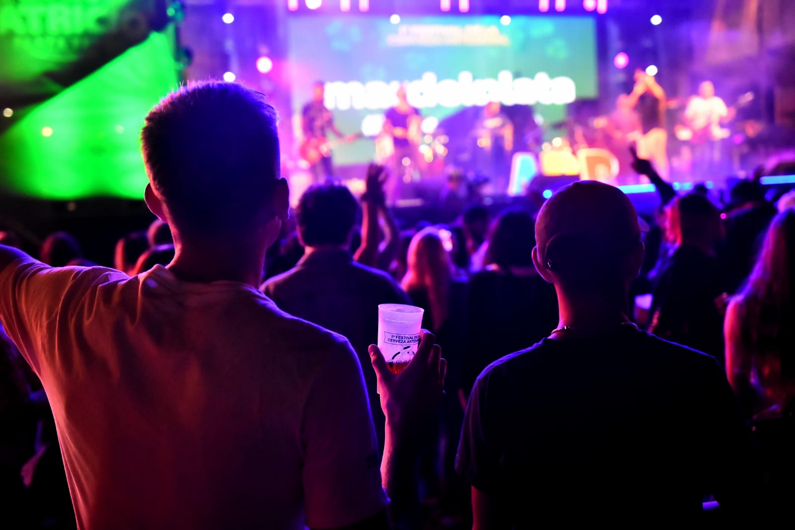 Galería: cerveza, color y la fiesta de Los Auténticos Decadentes ...