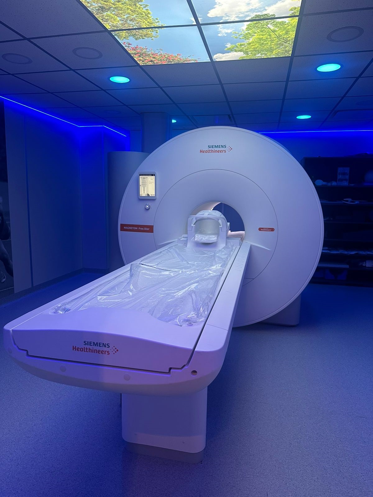 Se inauguró en el Paseo Aldrey el primer resonador del país con ...