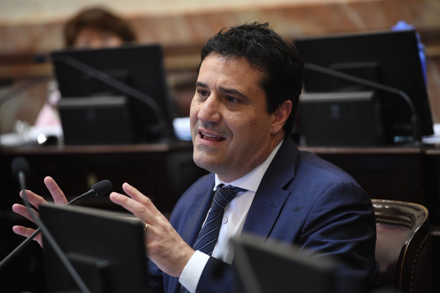 La llegada de “Bendú” ilusiona al Puerto, ¿un segundo Coto en la ciudad ...