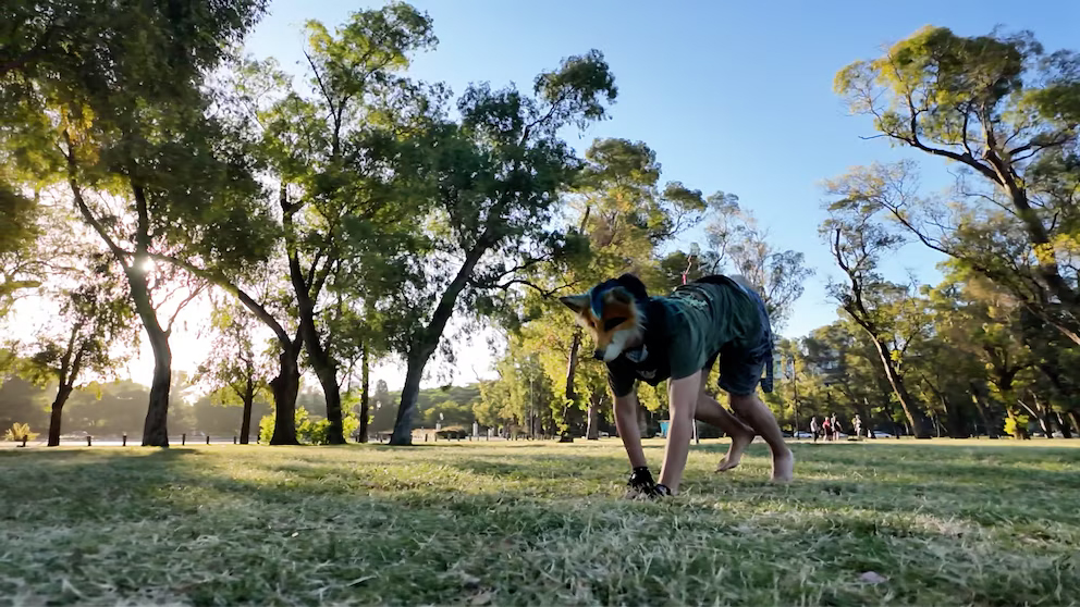 Fénomeno Therians y el debate de la convivencia social « Diario La ...